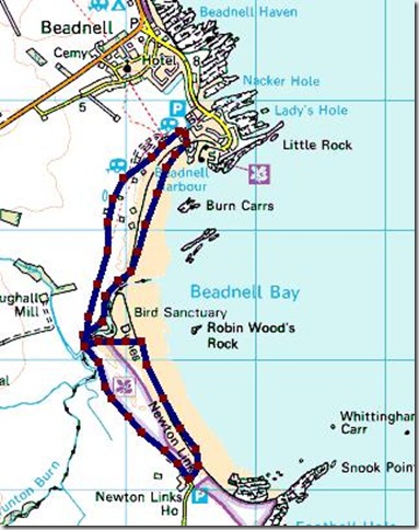 northern pies: Beadnell Bay